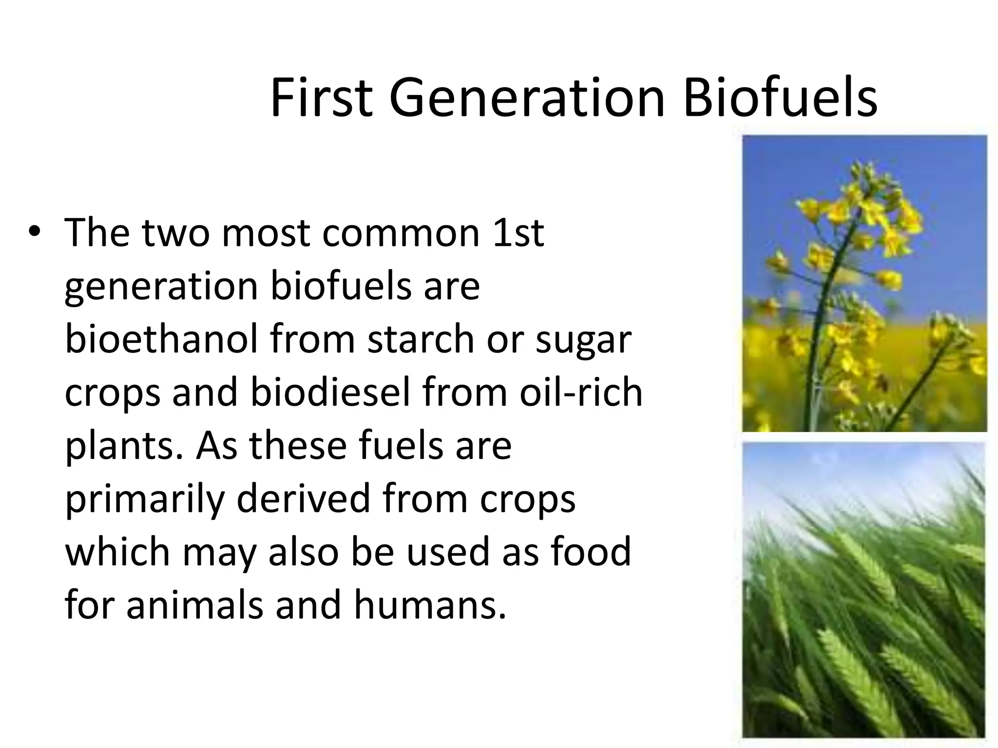 Biofuel as source of clean and green energy | PPTX