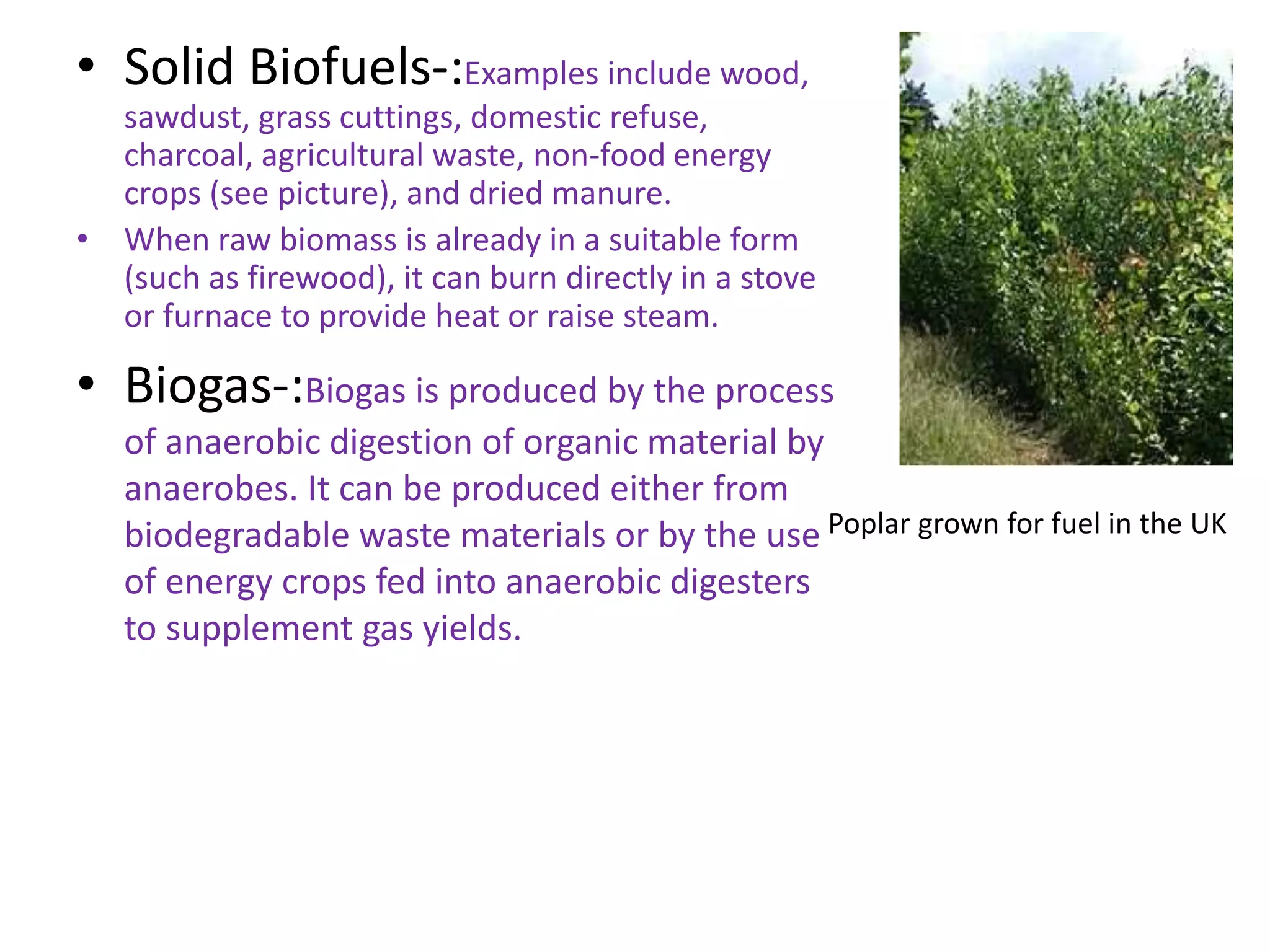 Biofuel as source of clean and green energy | PPTX