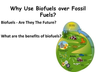 Biofuel as source of clean and green energy | PPTX