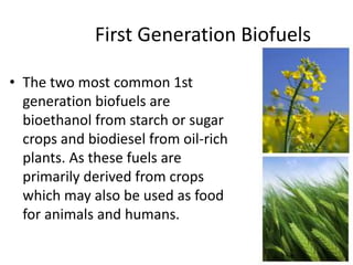 Biofuel as source of clean and green energy | PPTX