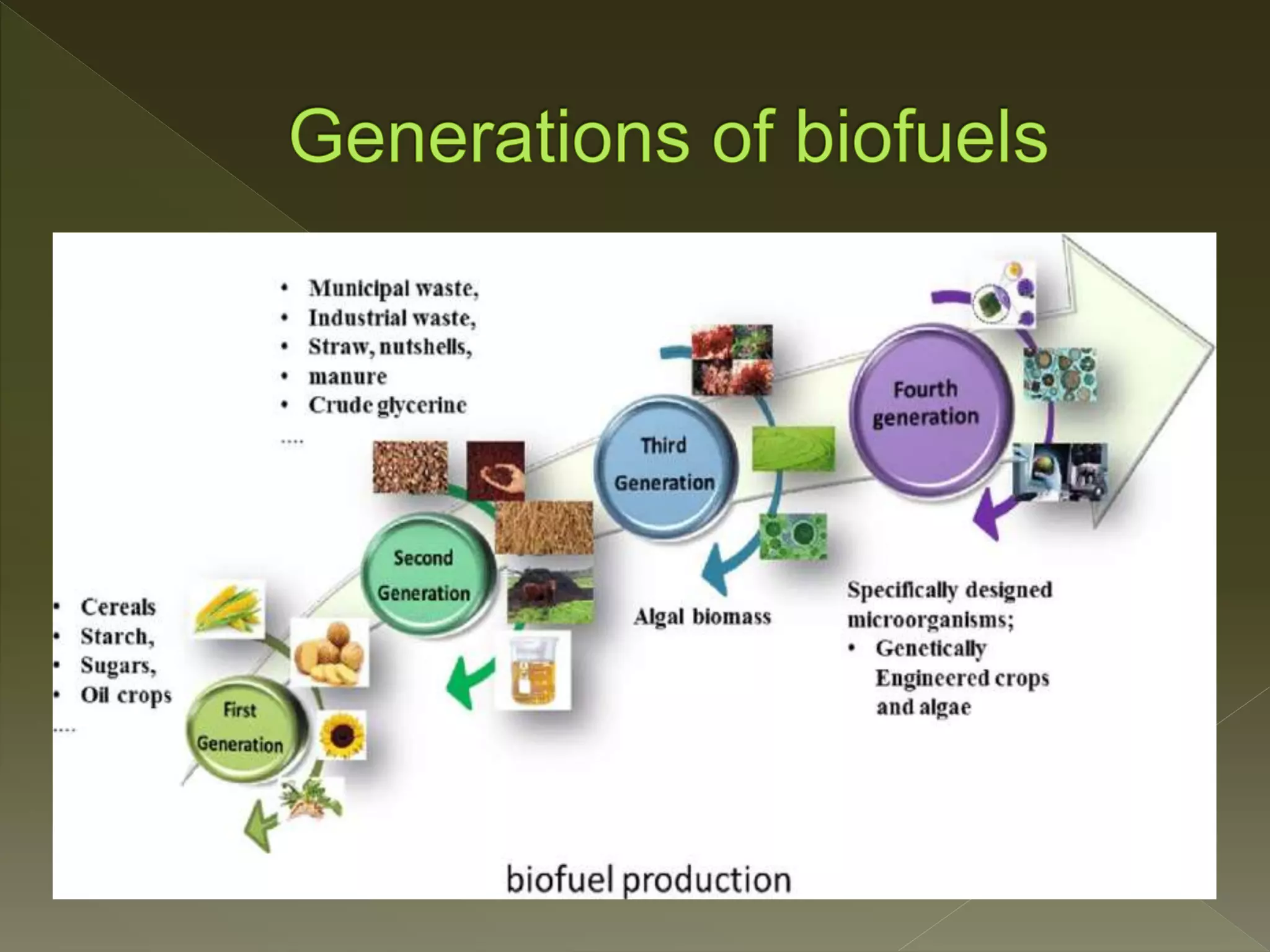 Biofuel | PPTX
