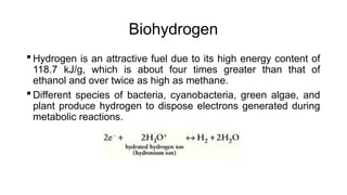 Biofuel_undergraduate level of biotechnology.pptx