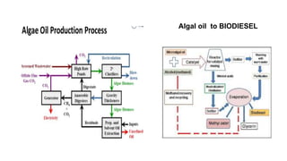 Biofuel as a bioresource | PPT