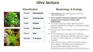 Biofuel as a bioresource | PPT