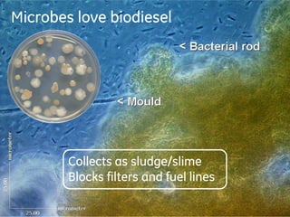 Fuel Quality Impacts of Increased Biofuels Requirements | PPT
