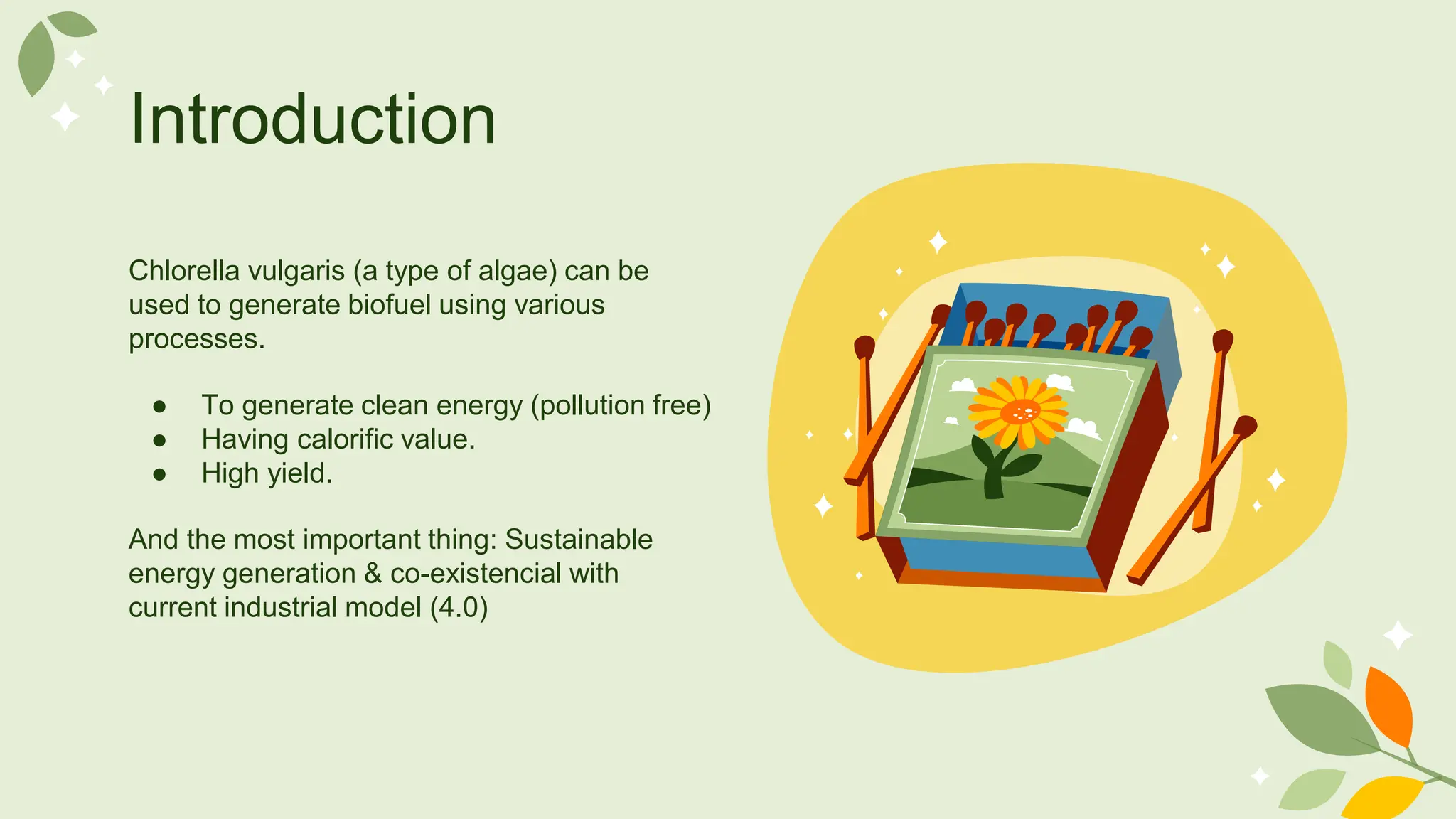 Biofuel The clean Energy from Algae.pptx