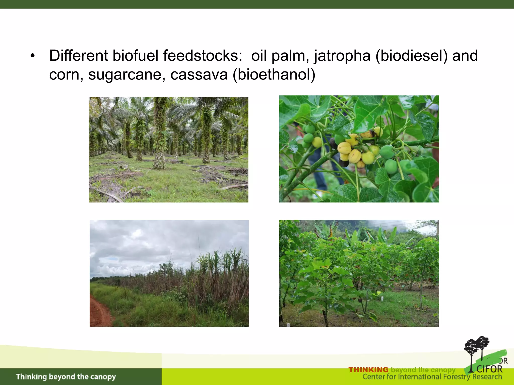 Biofuel development in Indonesia: progress and challenges | PPT