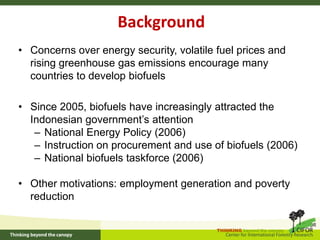 Biofuel development in Indonesia: progress and challenges | PDF