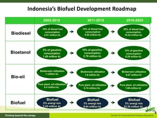 Biofuel development in Indonesia: progress and challenges | PPT