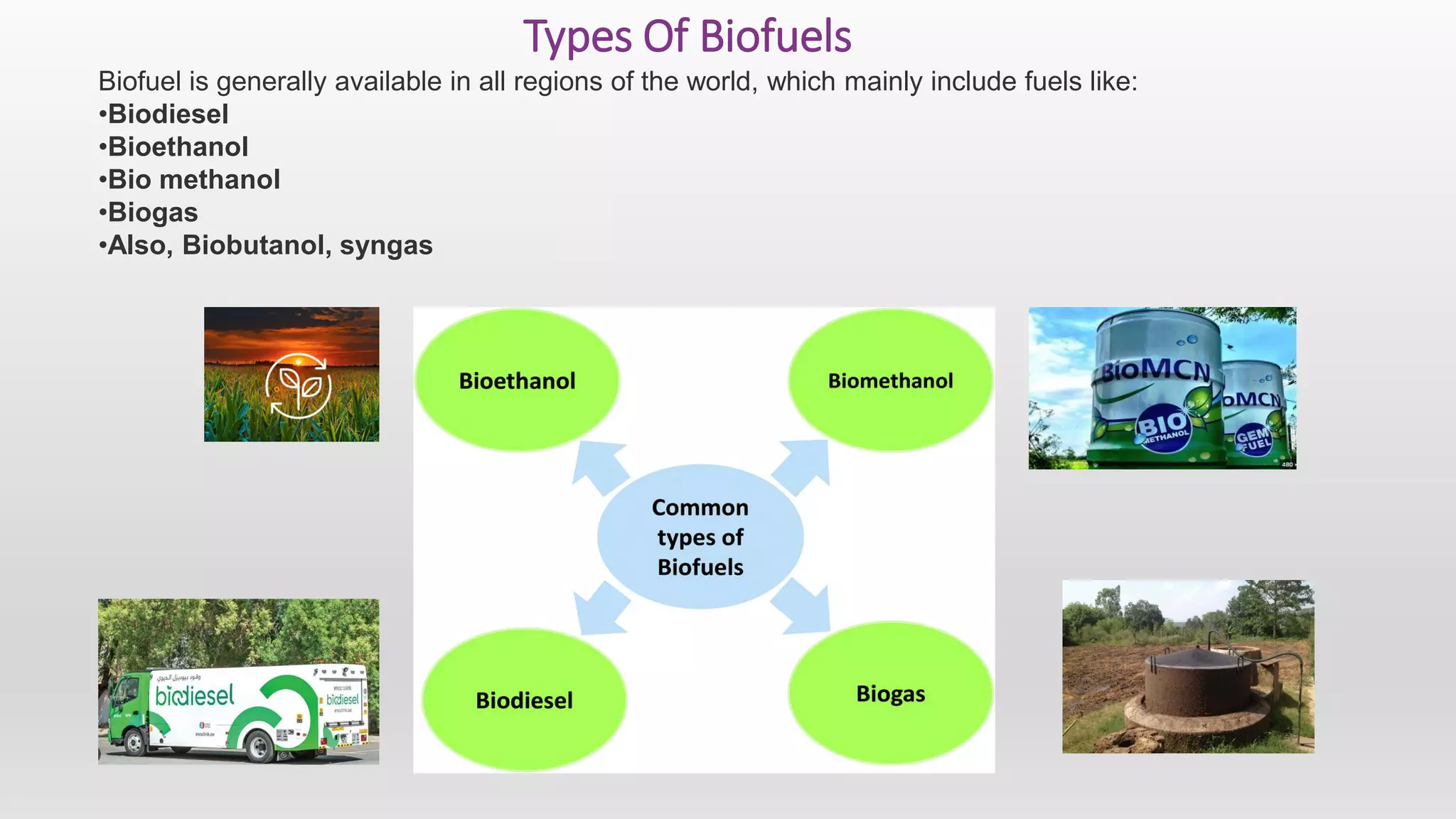 Biofuel | PDF