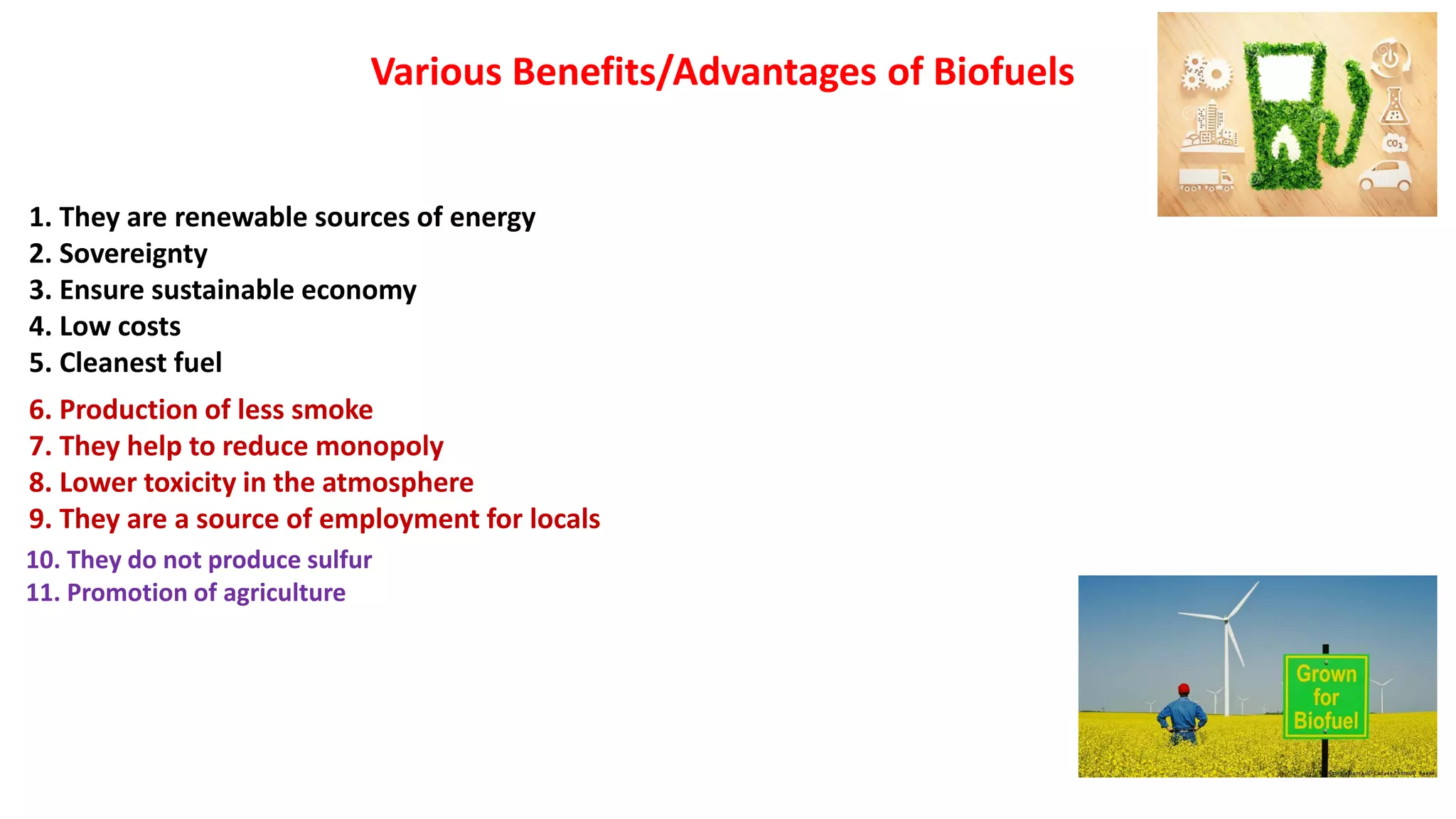 Biofuel | PDF
