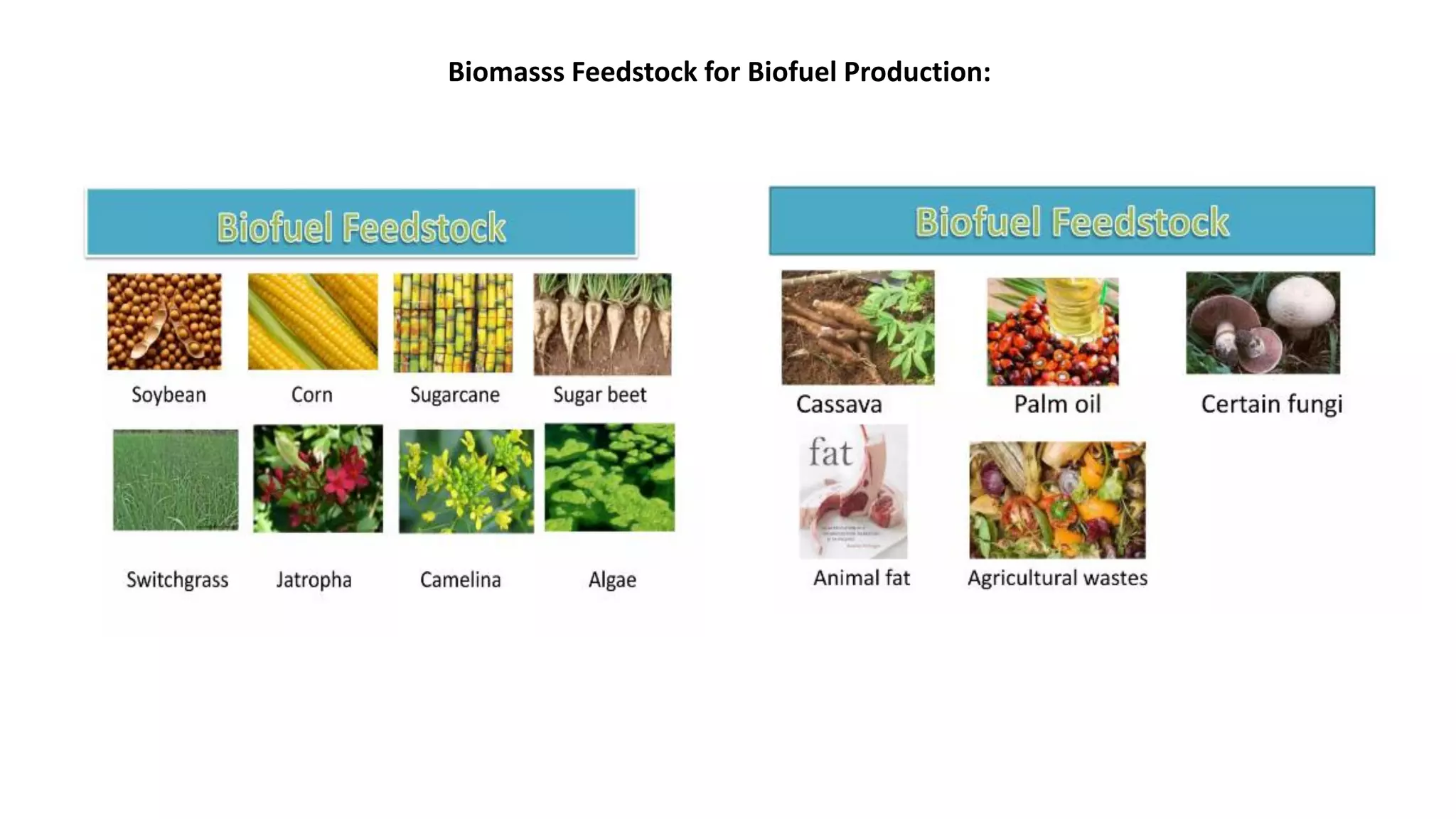 Biofuel | PDF