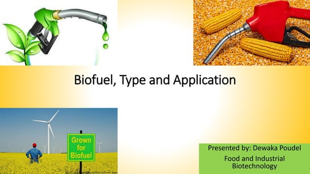 Biofuel | PDF | Chemistry | Science