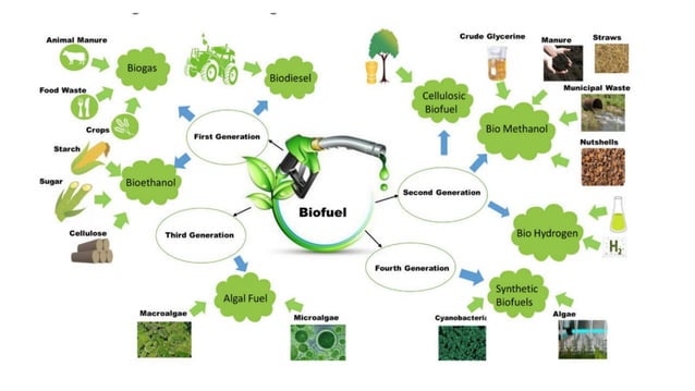 Biofuel | PDF | Chemistry | Science
