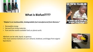 Biofuel | PDF