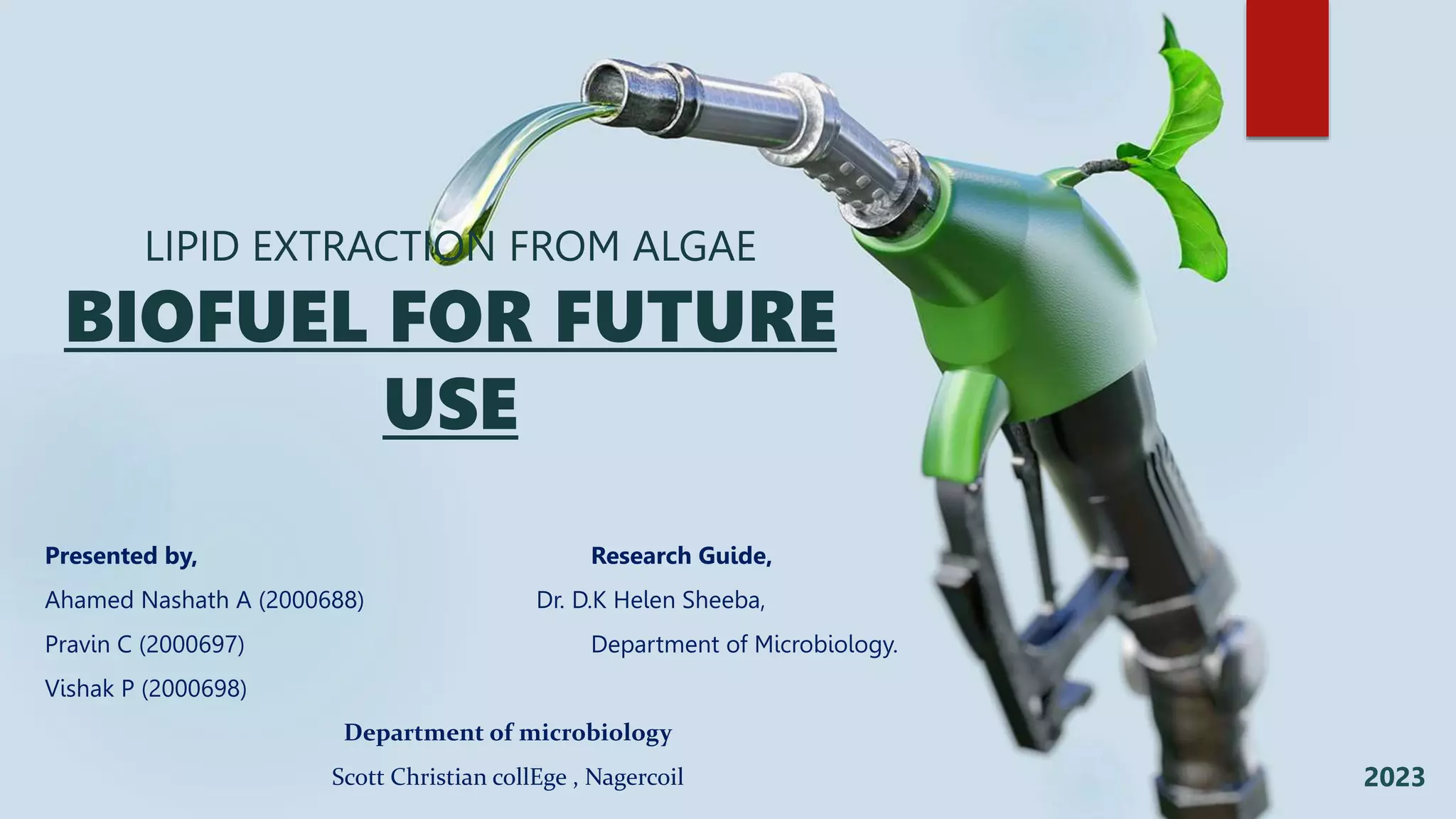 Biofuel from Algae for future use (Lipid extraction) | PPTX