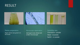 Biofuel from Algae for future use (Lipid extraction) | PPTX