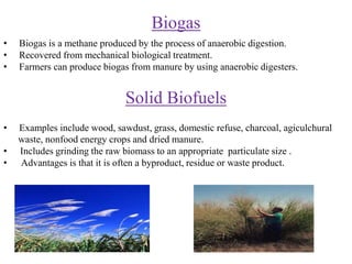 Biofuels | PPTX | Chemistry | Science