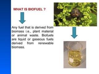 BIOFUELS AND THEIR FUTURE PERESPECTIVES | PPT
