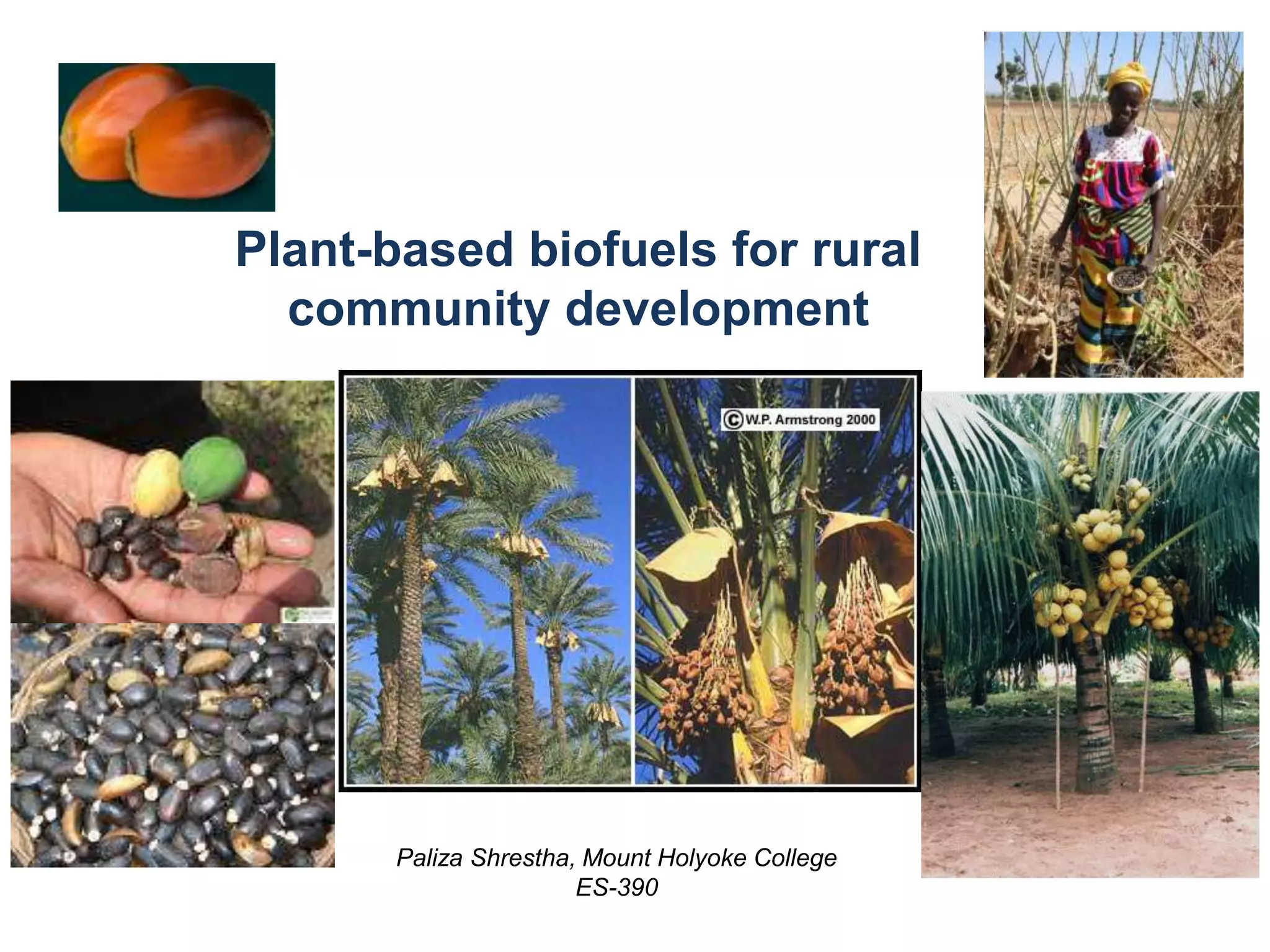 Biofuel Presentation | PPTX