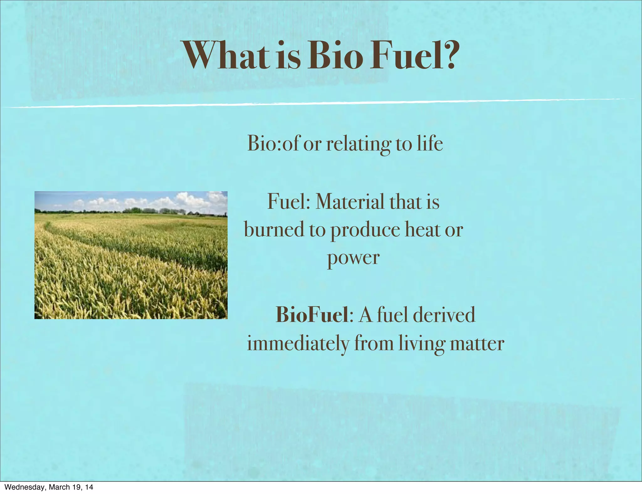 Biofuel presentation | PDF