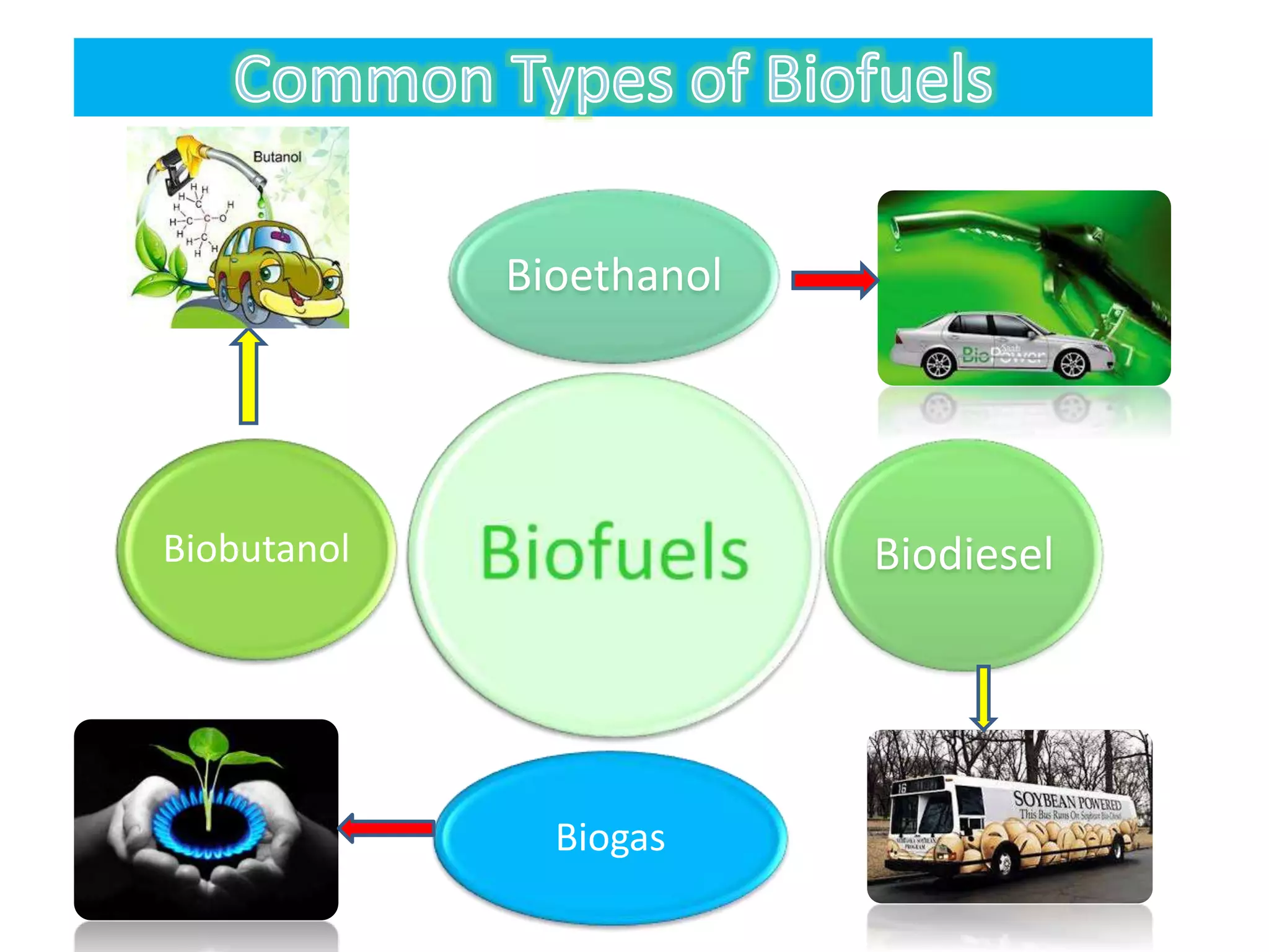 Biofuel presentation org | PPTX