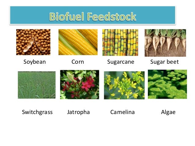 Biofuel presentation org