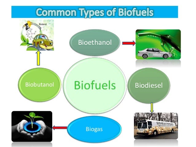 Biofuel presentation org