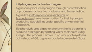 BIOFUELPRODUCTION AND ITS APPLICATIONS.pptx