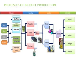 Biofuel production from algae | PPT