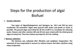 Biofuel production from algae | PPT