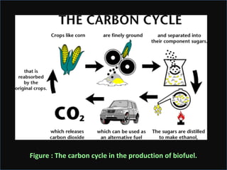 Biofuels | PPT