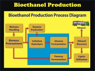 Biofuels | PPT