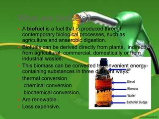 Bio fuels | PPTX