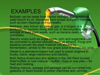 Bio fuels | PPTX