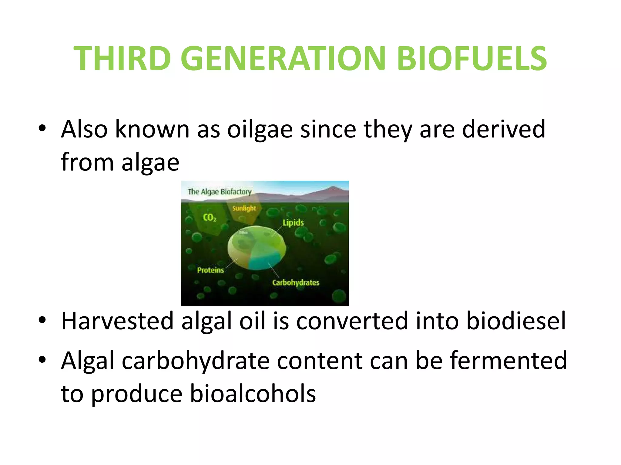 Biofuels | PPTX