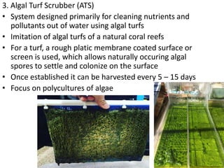 Biofuels | PPTX