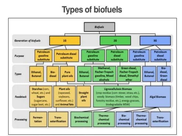 Biofuels | PPTX | Agriculture | Industries