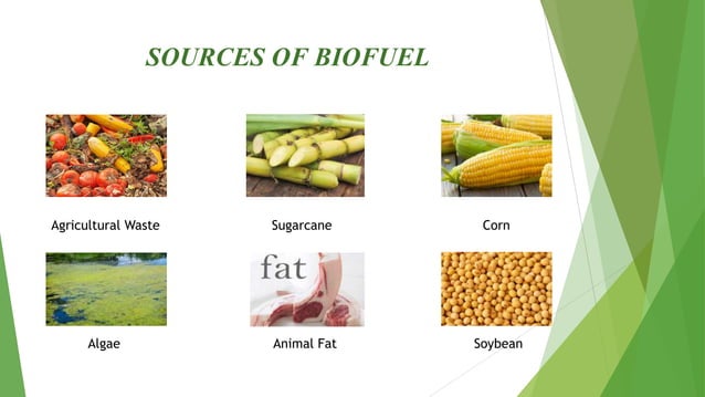 Biofuels | PPTX