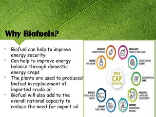 Bio fuels | PPT