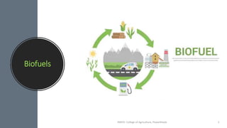 Biofuels | PDF