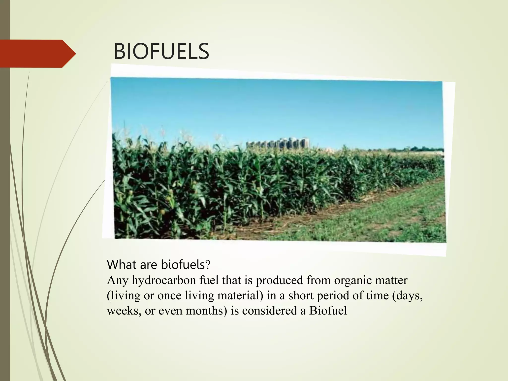biofuels.pptx | Agriculture | Industries