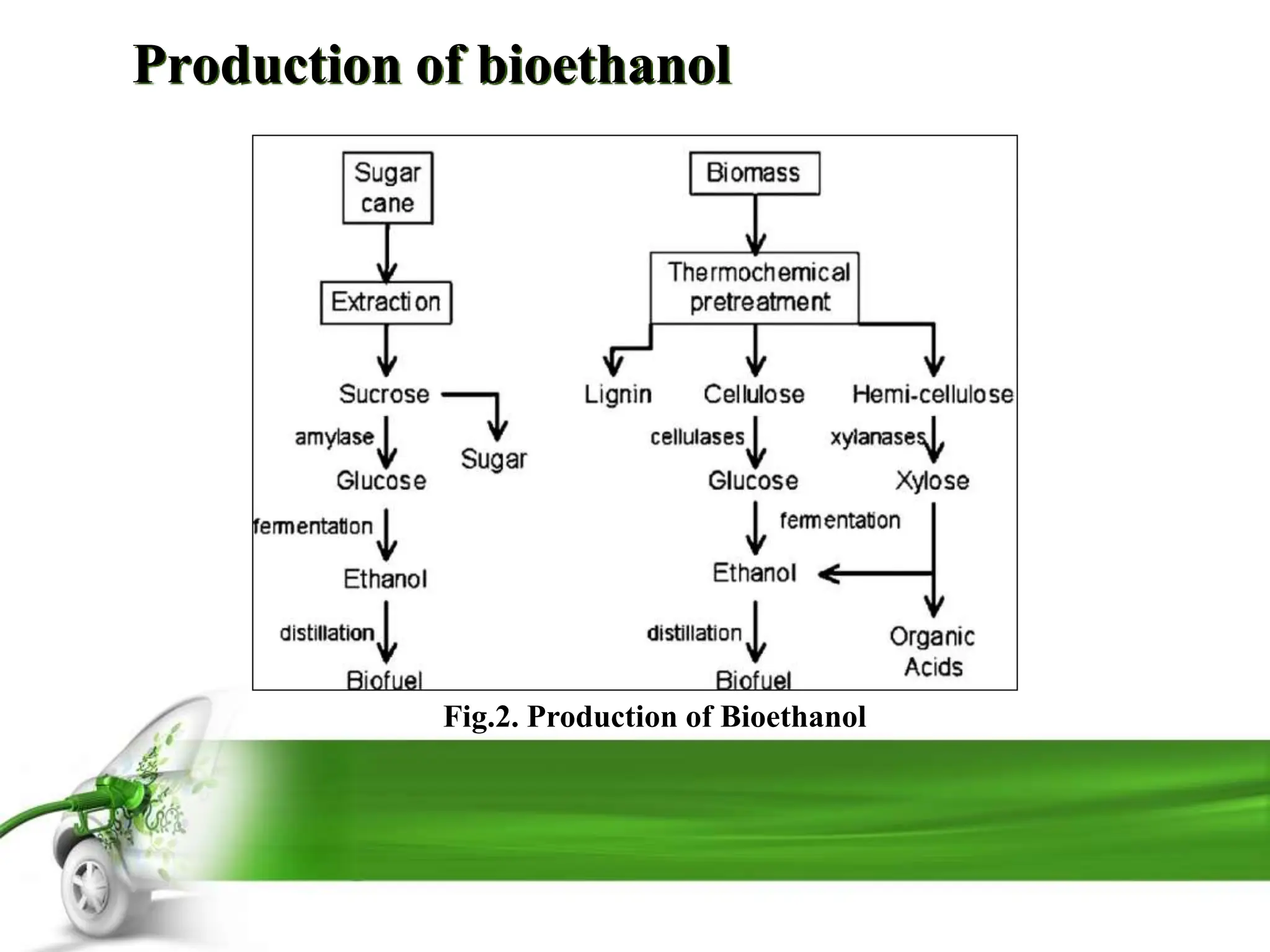 Biofuels, Their Types, Their Classification | PPTX