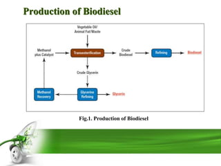 Biofuels, Their Types, Their Classification | PPTX