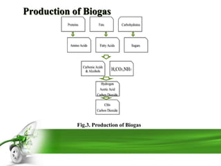 Biofuels, Their Types, Their Classification | PPTX