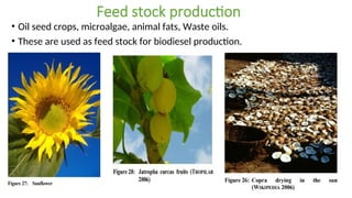 Biofuels............................ .ppt