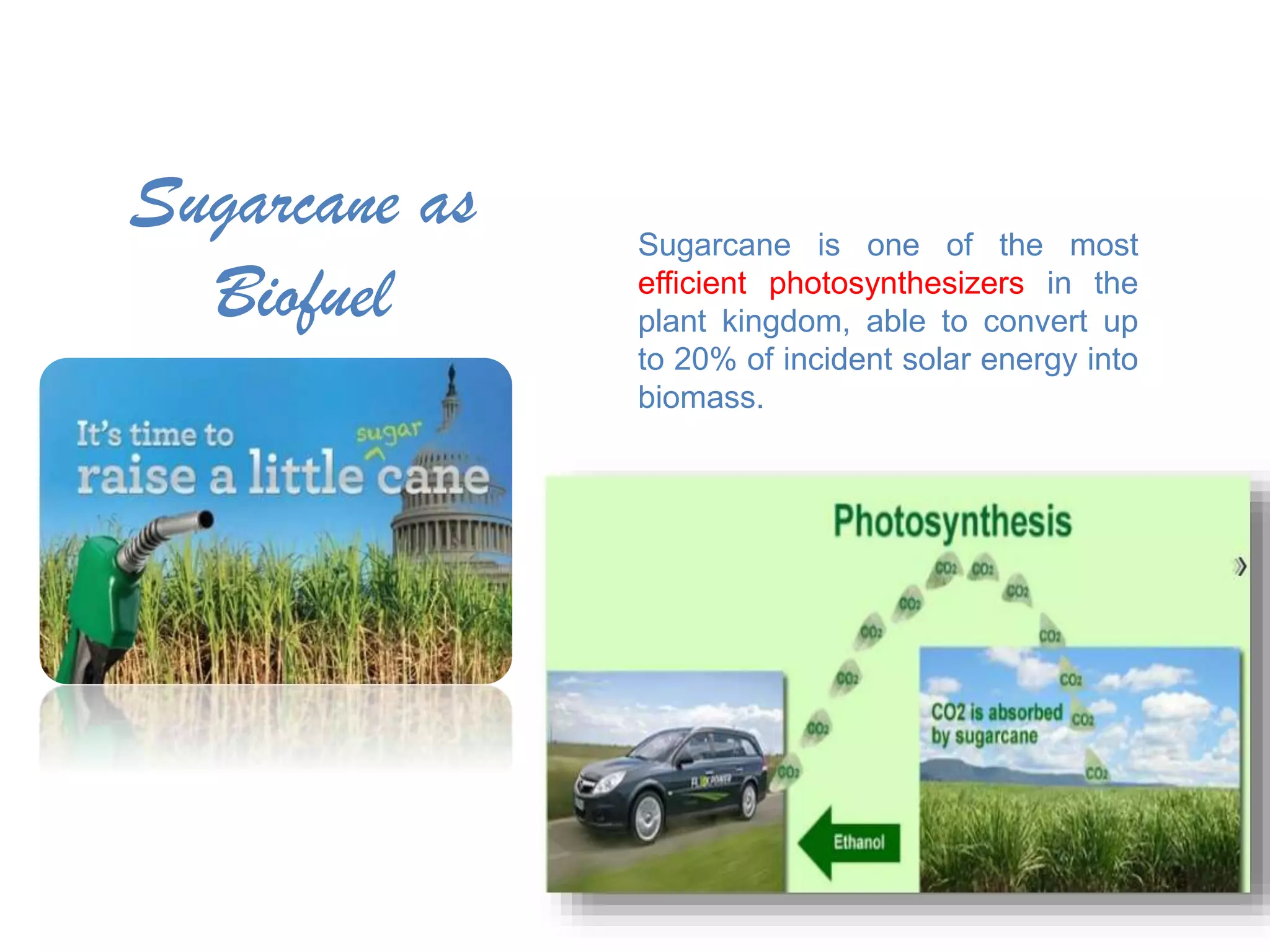 Biofuels | PPTX