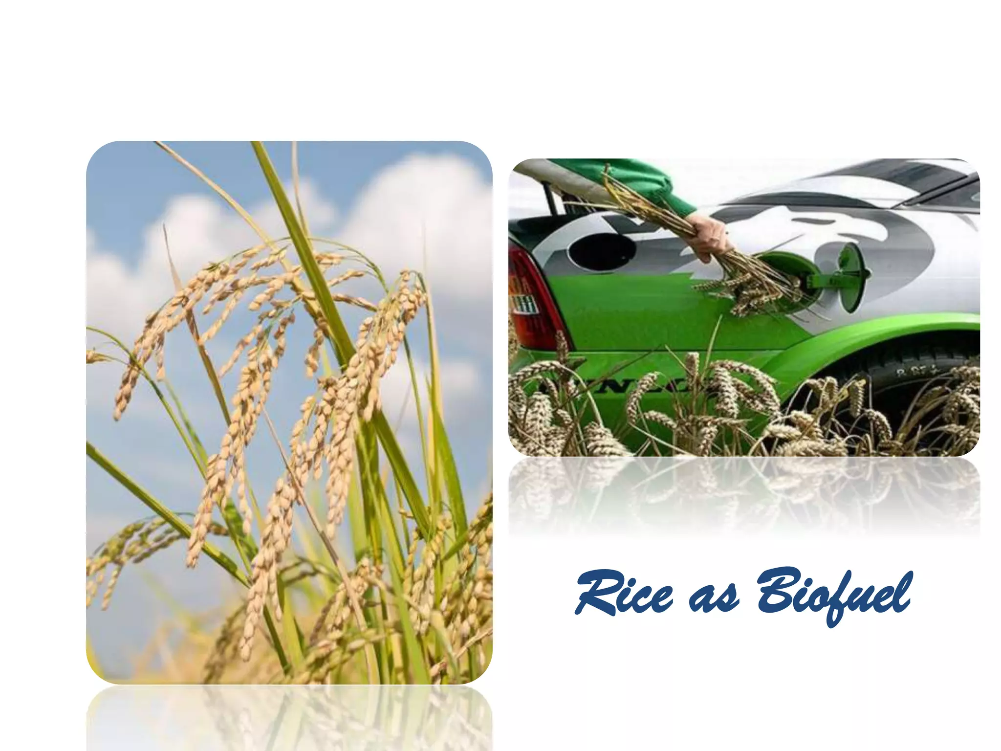 Biofuels | PPTX