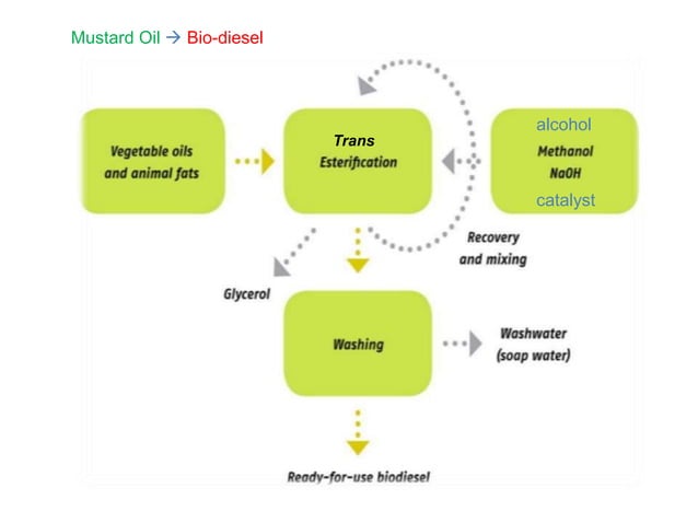 Biofuels | PPTX | Agriculture | Industries