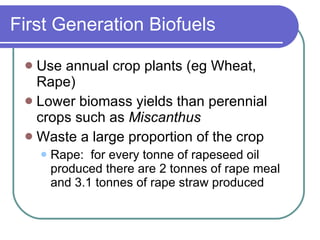 Biofuels Science Cafe main presentation 2008 | PPT